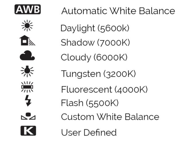An easy guide to understand White Balance | London School of Photography
